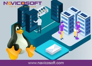 Linux vs. Windows Server: Which Is Apt for WordPress?